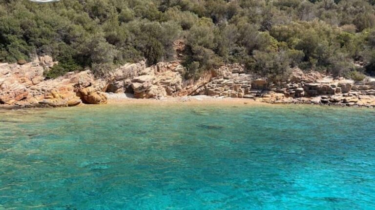 Bodrum Aquarium Bay Tour with Lunch & Swimming Stops - The Sum Up: Who Will Love This Tour?