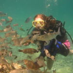 Bodrum diving day for advanced and beginner divers - Authentic Experiences and Real-World Insights