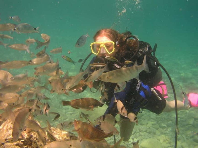 Bodrum diving day for advanced and beginner divers - Authentic Experiences and Real-World Insights
