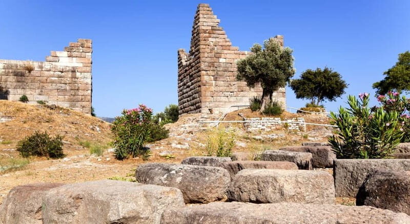 Bodrum: Private Tour by VIP Van with Local Guide&Hidden Gems - Why This Tour Works for Travelers