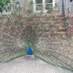 Bon Vivant Woodinville Wine Tasting Tour - What Makes This Tour Stand Out