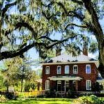 Bonaventure Cemetery Private Day Tour with Shannon Scott - Why Choose This Tour?