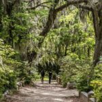 Bonaventure Cemetery & Wormsloe State Historic Site Tour - Detailed Itinerary Breakdown
