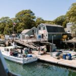 Boothbay Harbor: Pemaquid Point & John's Bay Cruise - The Vessel and Onboard Experience