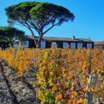 Bordeaux Médoc Region Private Wine Lovers Tour with Chateau Visits & Tastings - Final Thoughts