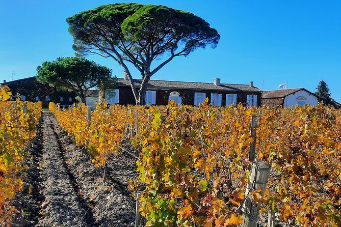 Bordeaux Médoc Region Private Wine Lovers Tour with Chateau Visits & Tastings - Final Thoughts