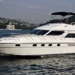 Bosphorus Dinner / Lunch Cruise - Private and Customizable - What to Expect from the Bosphorus Dinner / Lunch Cruise