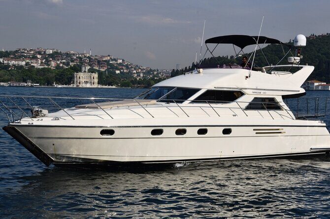 Bosphorus Dinner / Lunch Cruise - Private and Customizable - What to Expect from the Bosphorus Dinner / Lunch Cruise