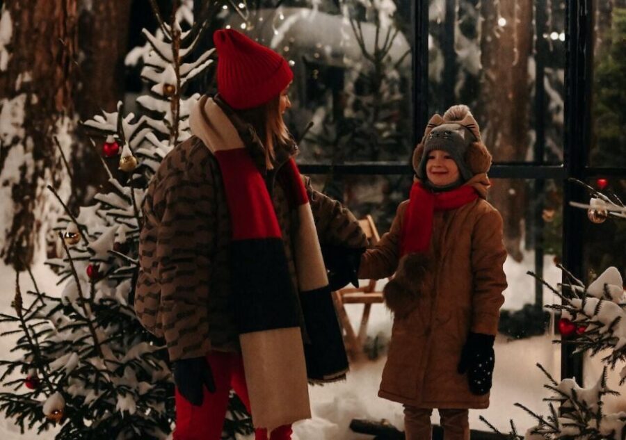 Boston: A Bostonian Christmas Tour - Breaking Down the Itinerary