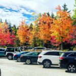 Boston: Fall Foliage Tour - The Highlights of the Itinerary