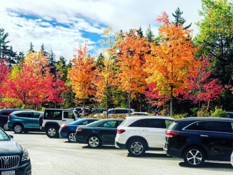 Boston: Fall Foliage Tour - The Highlights of the Itinerary