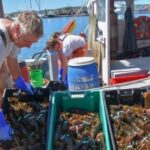 Boston: Kennebunkport Day Trip with Optional Lobster Tour - The Return Journey and Final Impressions