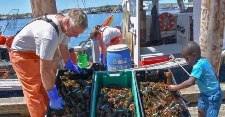 Boston: Kennebunkport Day Trip with Optional Lobster Tour - The Return Journey and Final Impressions