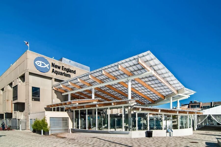 Boston: New England Aquarium Skip-the-Line Entry Ticket - The Practical Details: Price, Access, and Worth