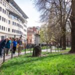 Boston: Seafood, History & Highlights Day Tour - Authentic Reviews and What Travelers Say