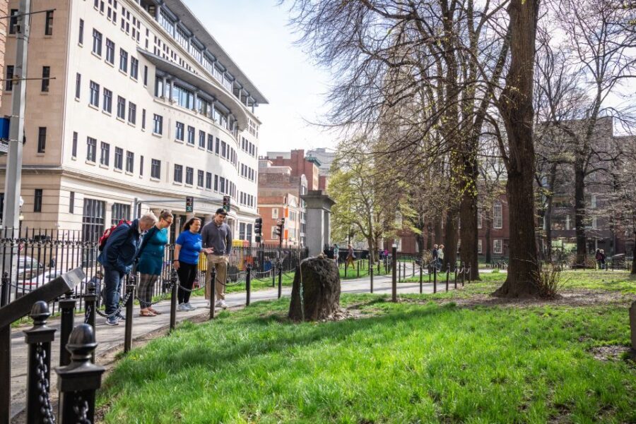 Boston: Seafood, History & Highlights Day Tour - Authentic Reviews and What Travelers Say