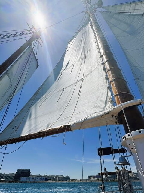 Boston: Tall Ship Harbor Sail with Weekend Brunch Option - Who Will Love This Experience?
