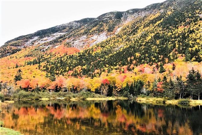 Boston to New Hampshire Fall Foliage White Mountains Day Trip - The Sum Up: Who Is This Tour For?