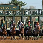 Bourbon & Derby: Makers Mark OR Buffalo trace + Churchill Down - An In-Depth Look at the Tour Experience
