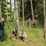 Bovec: Mushroom Picking and Culinary Session - Detailed Breakdown of the Days Itinerary