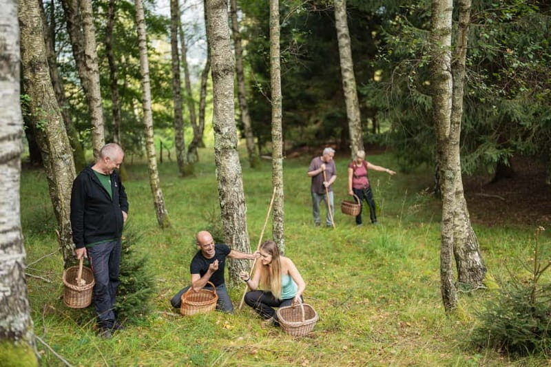 Bovec: Mushroom Picking and Culinary Session - Detailed Breakdown of the Days Itinerary