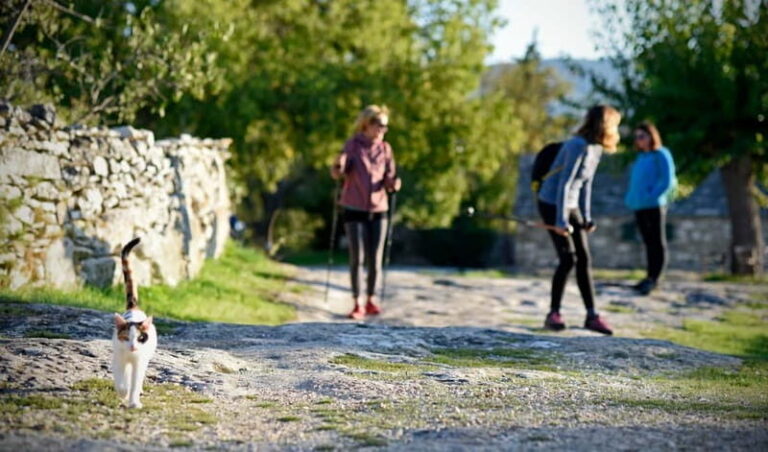Bra island: Hiking Vidova gora krip Museum of olive oil - Detailing the Itinerary