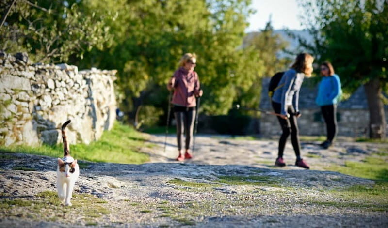 Bra island: Hiking Vidova gora krip Museum of olive oil - Detailing the Itinerary