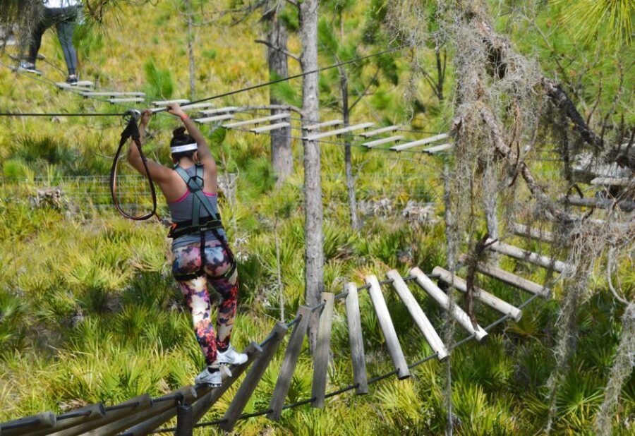 Bradenton: Adventure Course Entry Ticket - Who Will Love This Adventure?