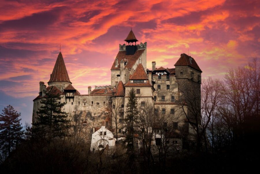 Bran: Guided Castle Tour - Navigating the Practicalities