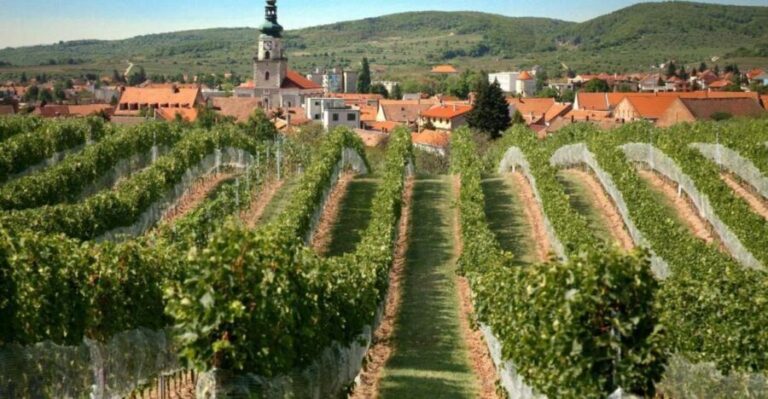 Bratislava: 6,5-Hour Carpathian Wine Tour and Tasting - Is It Worth It? Analyzing the Value
