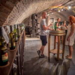 Bratislava: Wine Tasting with Sommelier - The Tasting Options