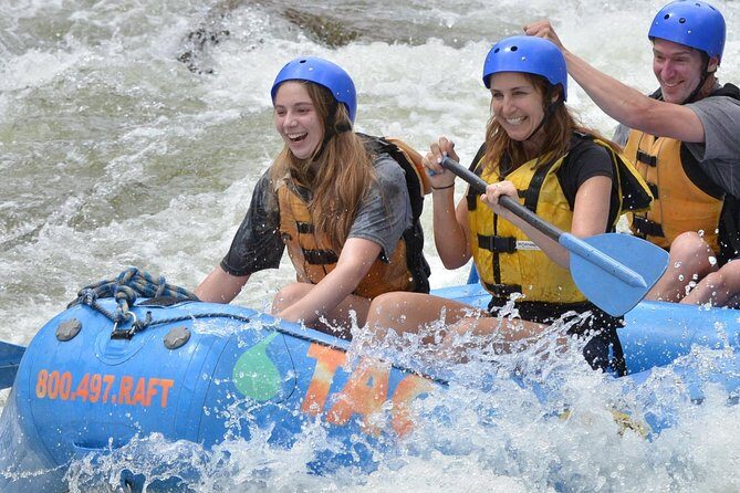 Browns Canyon Intermediate Rafting Trip Half Day - The itinerary: what to anticipate on the river