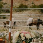Brunch with Mini Rescue Burros in Southern California - What to Expect: A Detailed Look at the Itinerary