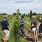 Brunello di Montalcino, small biodynamic wineries - Who Should Consider This Tour?