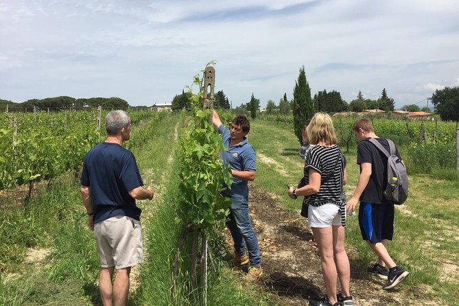 Brunello di Montalcino, small biodynamic wineries - Who Should Consider This Tour?