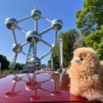 Brussels Day Trip from Paris or Amsterdam by Mini-Van - Value and Experience: Is It Worth the Cost?