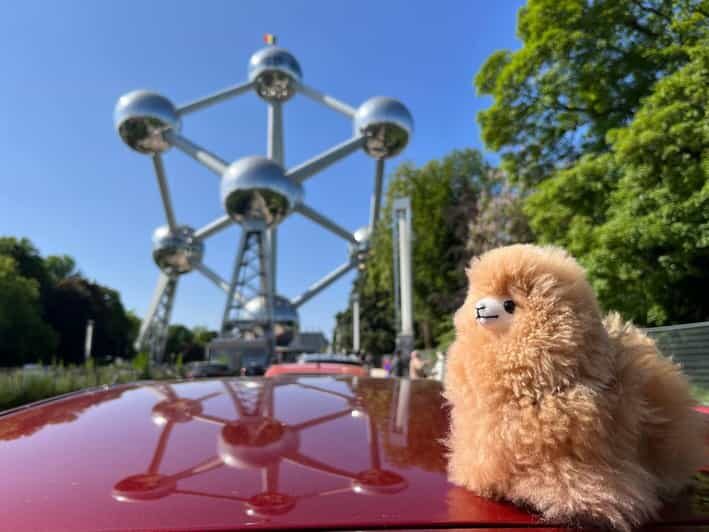 Brussels Day Trip from Paris or Amsterdam by Mini-Van - Value and Experience: Is It Worth the Cost?