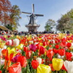 Brussels: Holland Keukenhof & Kinderdijk Guided Day Tour - FAQ