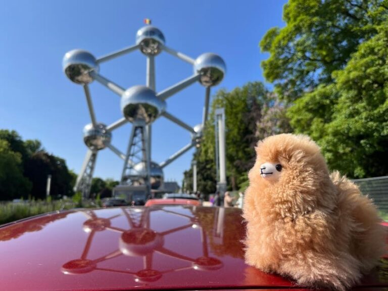 Brussels: Private Atomium & Mini-Europe Tour with Transport - Unpacking the Details: What You Can Expect
