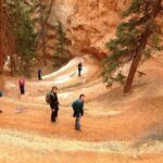 Bryce Canyon and Zion National Park Tour - Zion National Park Highlights
