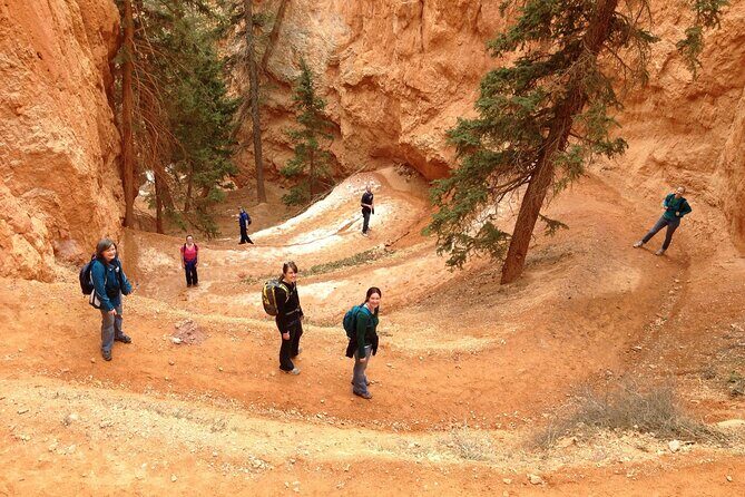 Bryce Canyon and Zion National Park Tour - Zion National Park Highlights