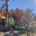 Bryce Canyon City: Horseback Riding Tour in Red Canyon - Why This Tour Works Well