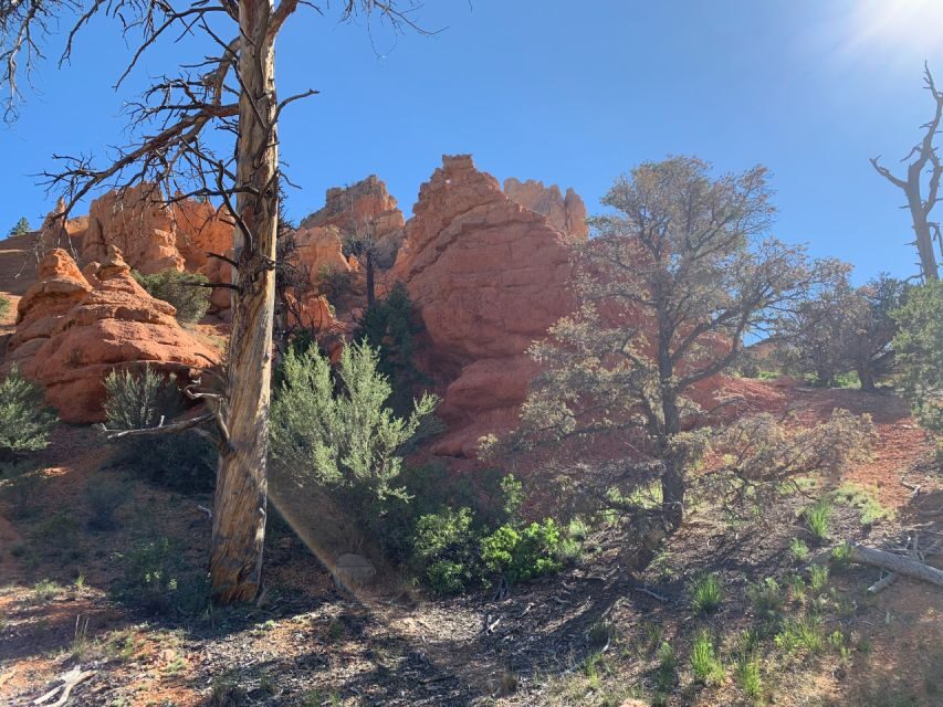 Bryce Canyon City: Red Canyon Horse Riding Day Trip w/ Lunch - Discovering Red Canyon on Horseback