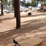 Bryce Canyon E-bike Tour - Who Should Book This Tour?