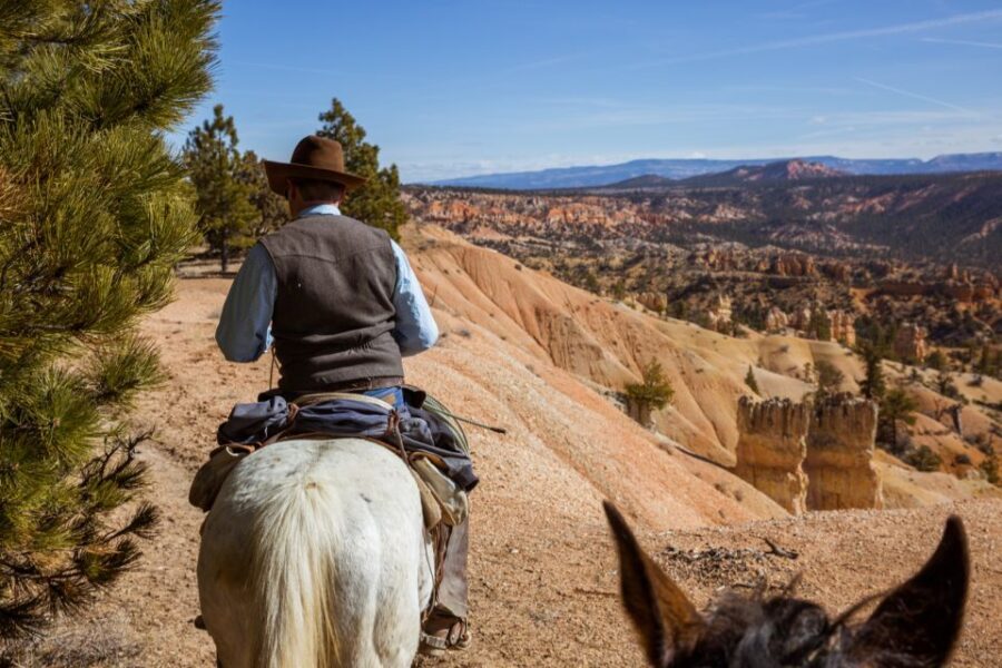 Bryce Canyon: Horseback Ride in the Dixie National Forest - The Itinerary Breakdown