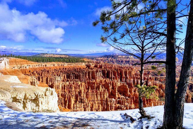 Bryce Canyon & Zion National Parks from Vegas, Lunch, Free WiFi - What Travelers Say: Authentic Perspectives