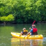 Bryson City: Fontana Lake Guided Kayak Tour - Day of the Tour: What to Expect