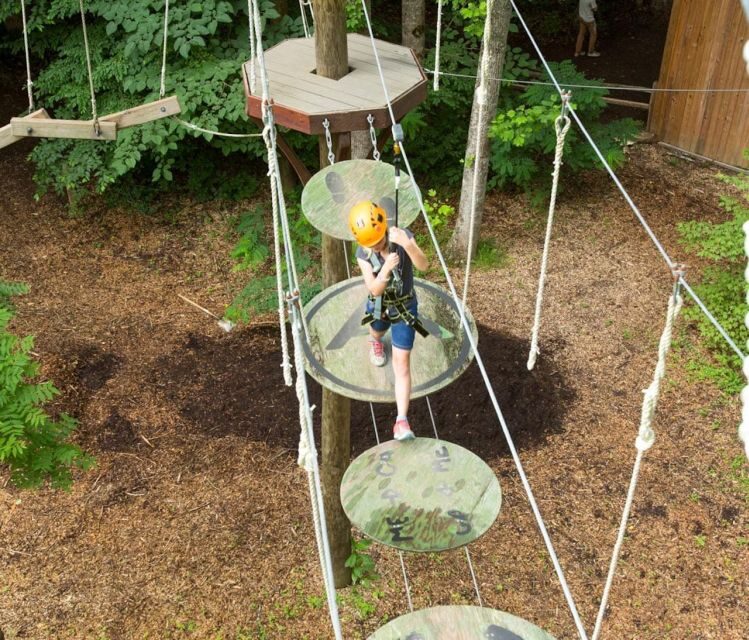 Bryson City: Zip Line Adventure Park Pass with Gear - The Zip Lines: Speed and Thrill