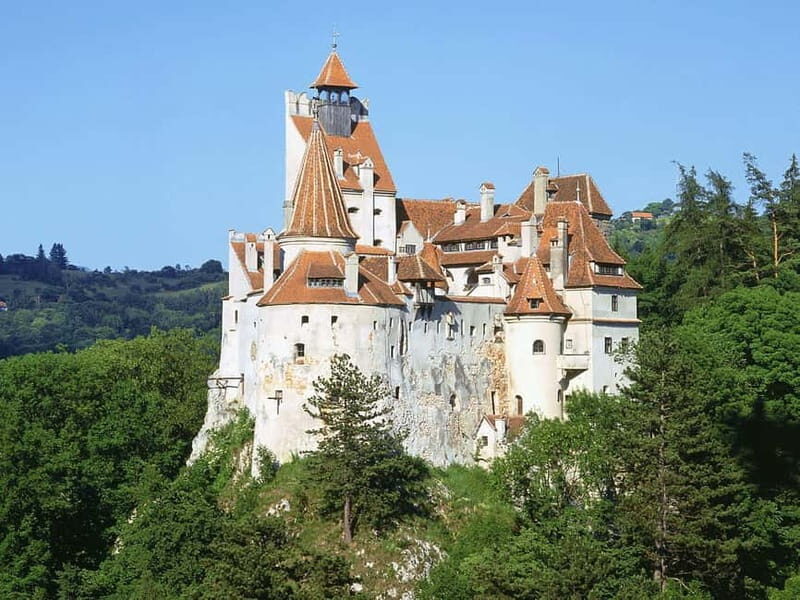 Bucharest: 8-Day Romania, Transylvania & Danube Delta Tour - Transportation and Group Dynamics