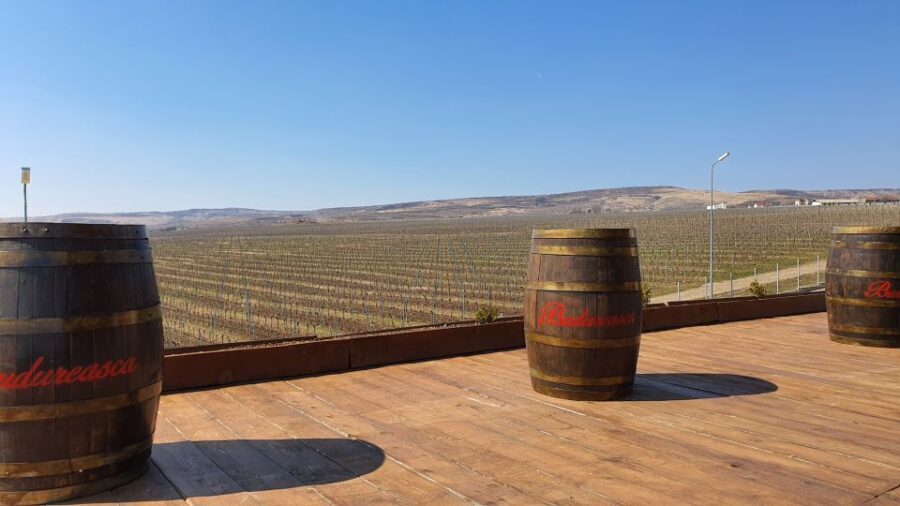 Bucharest: Dealu Mare Winery Private Trip with Wine Tasting - What’s the Itinerary? A Step-by-Step Breakdown